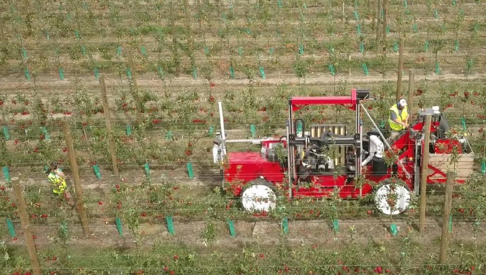 Robotic Apple Harvester Makes Debut in New Zealand - Growing Produce