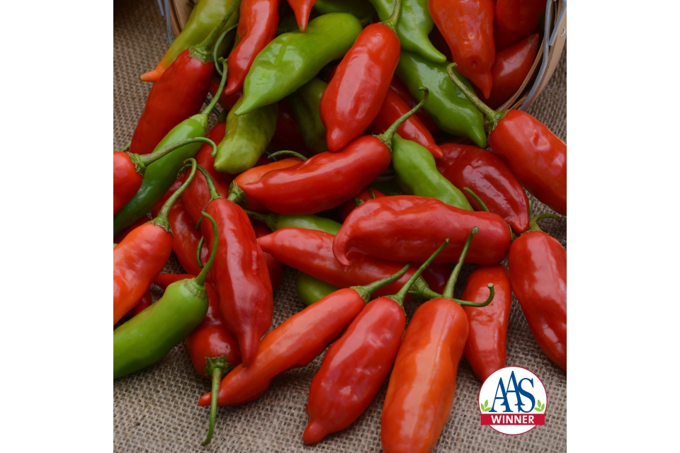 Beyond Bell Peppers: 15 of the Latest Varieties - Growing Produce