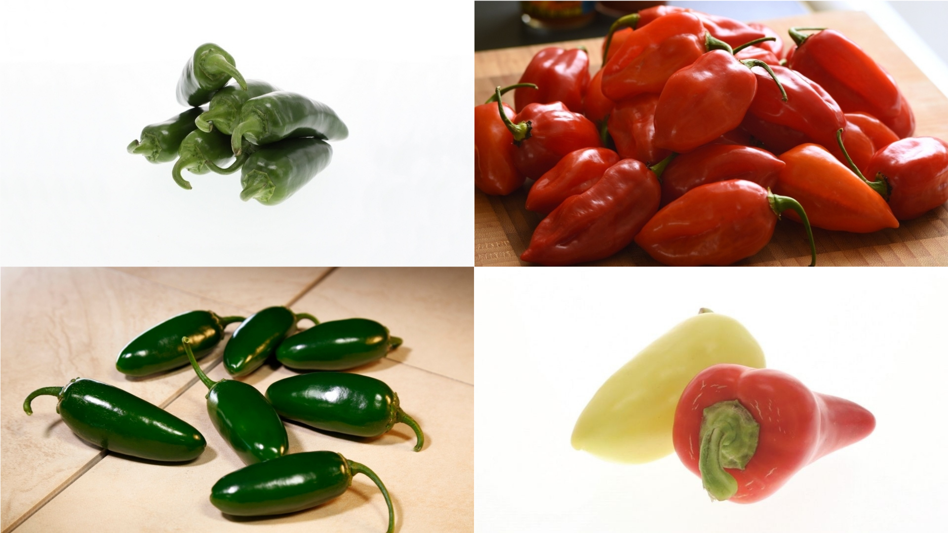 Beyond Bell Peppers 15 Of The Latest Varieties Growing Produce beyond-bell-peppers-15-of-the-latest-varieties-growing-produce