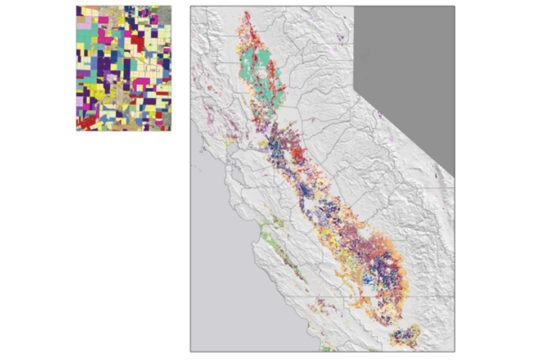 New Resource Helps Almond Growers Pinpoint Yield - Growing Produce