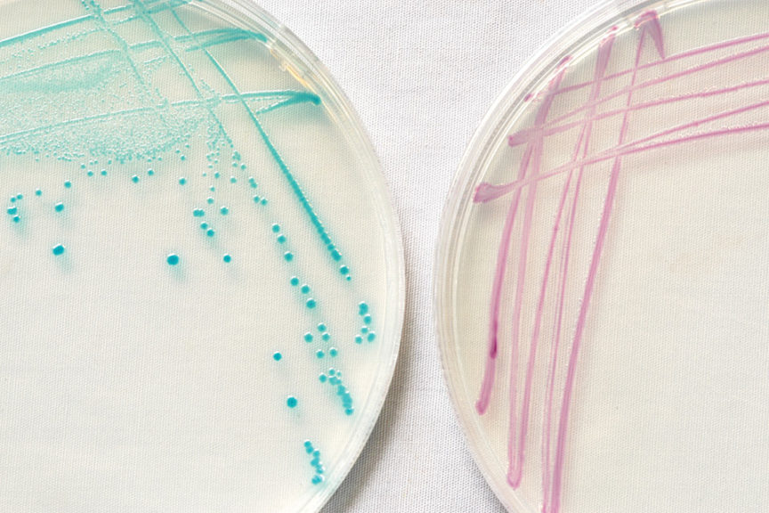 The Challenge of Dealing with Contaminants in Vegetables - Growing Produce