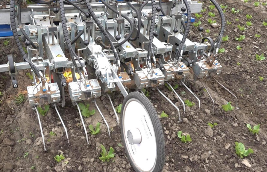 How Auto Weeders and Thinners Work [Photo Essay] - Growing Produce