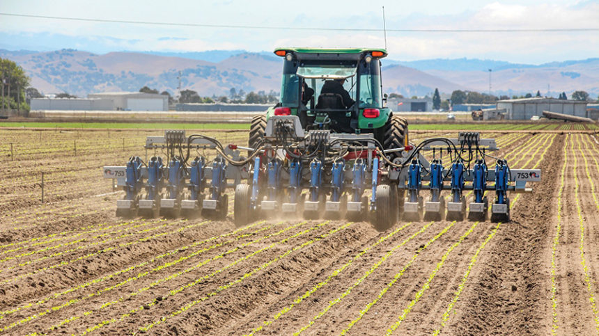 California Specialty Crop Weeders and Thinners Field Day On Tap ...