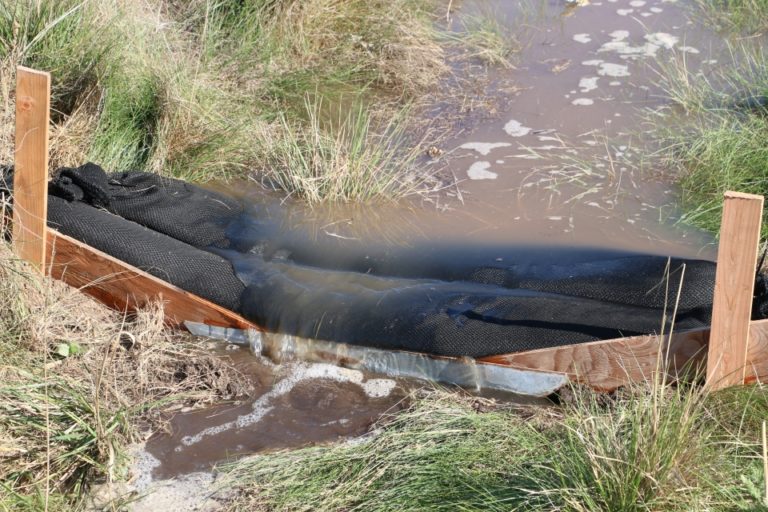 Filter Irrigation Runoff to Protect Water Quality - Growing Produce