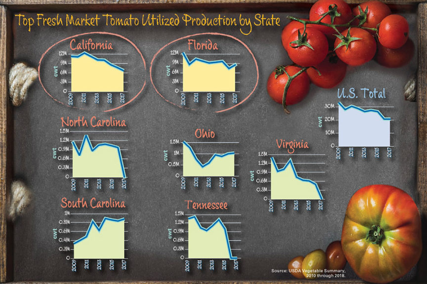 U.S. Fresh Market Tomato Production Levels Are Falling [Infographic ...