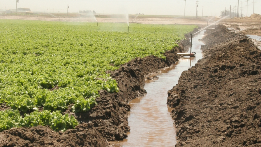 Filter Irrigation Runoff To Protect Water Quality Growing Produce Filter Irrigation Runoff To Protect Water Quality Growing Produce