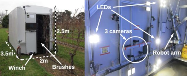 Can Apple Genetics Offer an Alternative to Pruning? - Growing Produce