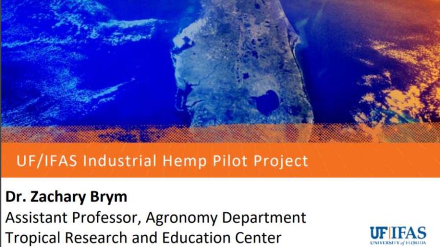 What Florida Growers Need to Know About Hemp - Growing Produce
