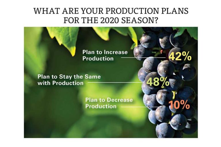 Grape Growers Grapple With Solutions to Workforce Woes - Growing Produce