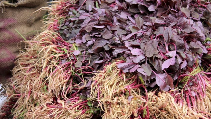 Say Hello to the World's First Red Spinach - Growing Produce