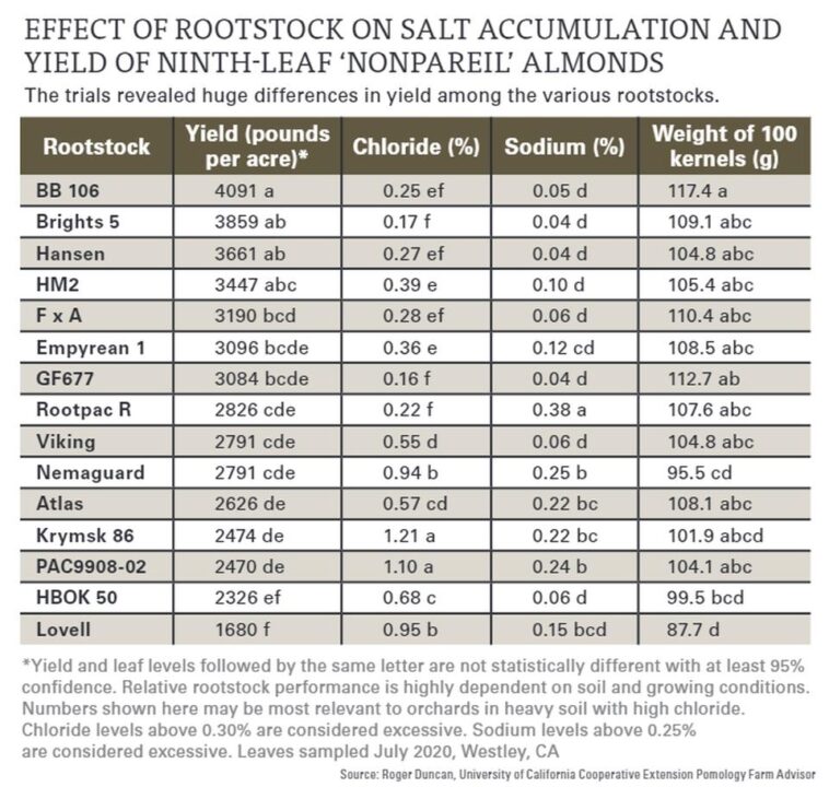 How To Make Sure You're Using the Right Almond Rootstock - Growing Produce