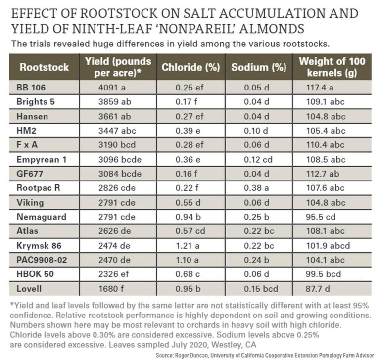 How To Make Sure You're Using the Right Almond Rootstock - Growing Produce