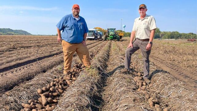 Two Vegetable Farms Work Together With One Goal in Mind - Growing Produce