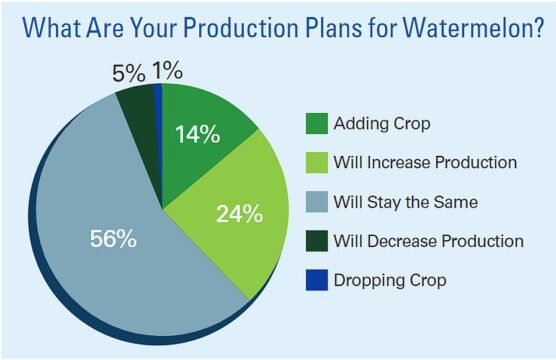 Watermelon Crops Had a Strong Year in 2021 - Growing Produce