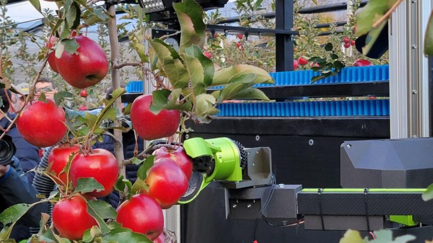 Growing Apples Around the World: Robotics Take Center Stage at ...