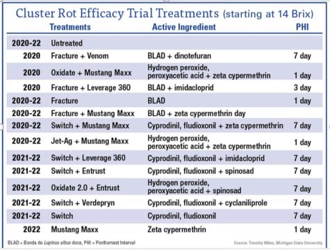 How Biofungicides Are Helping Small Fruit Growers Succeed - Growing Produce