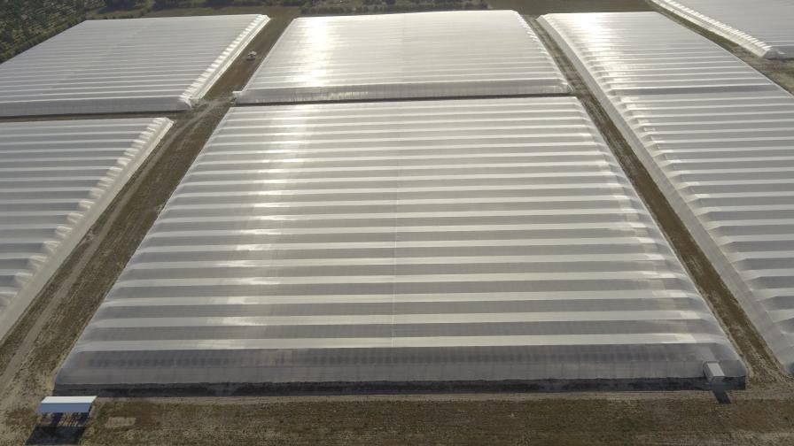 Can Growing Citrus Under Protective Screen Save Florida’s Signature ...