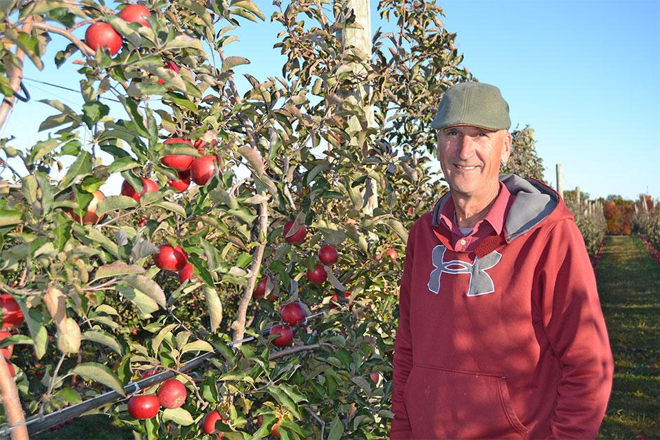 One Grower’s Take on the Apple Industry’s Oversupply Issue - Growing ...