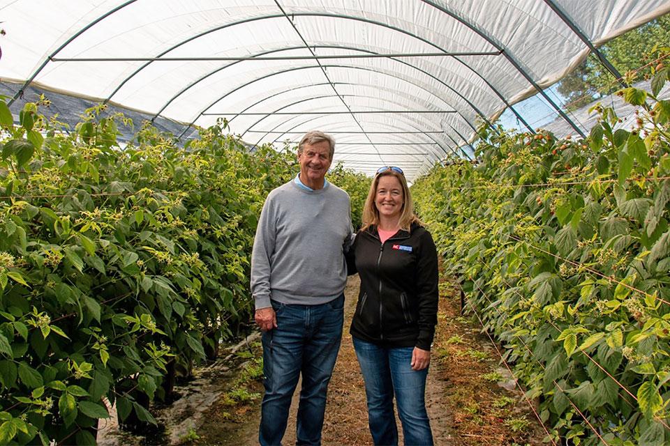 Where Boundaries Are Being Broken for Growing Raspberries - Growing Produce