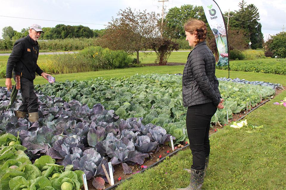 Standout Selections From the 2024 Vegetable Seed Trials [PHOTOS ...