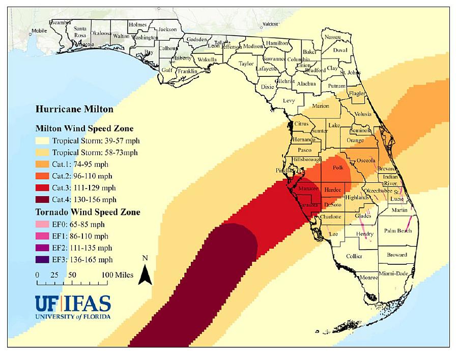 Report Adds up Hurricane Milton’s Big Blow to Florida Agriculture ...