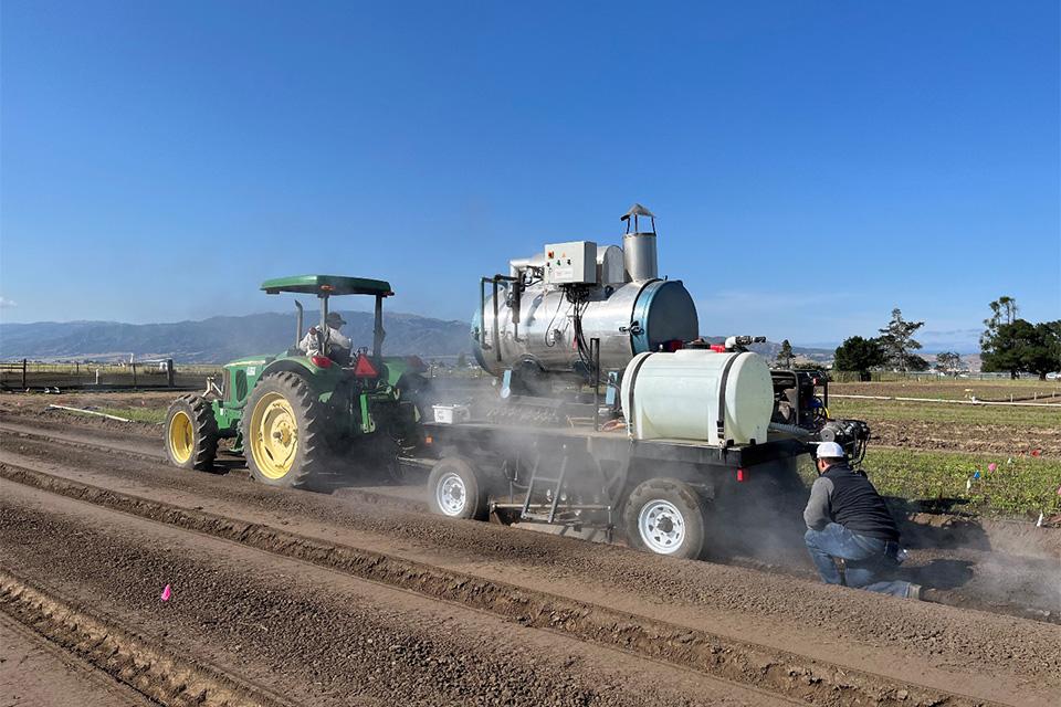 Weed Control Follow Up: Consider These Dacthal Herbicide Alternatives ...