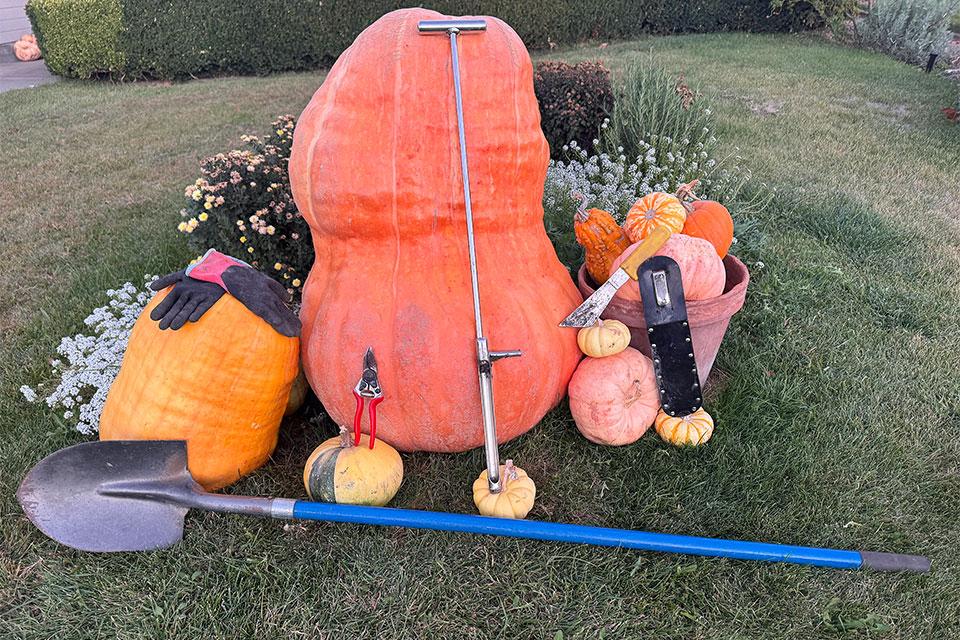 6 High Quality Farm Hand Tools on a Budget - Growing Produce