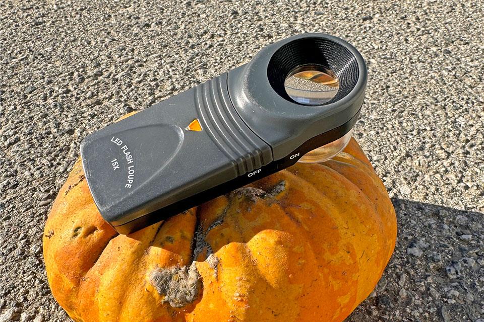 6 High Quality Farm Hand Tools on a Budget - Growing Produce