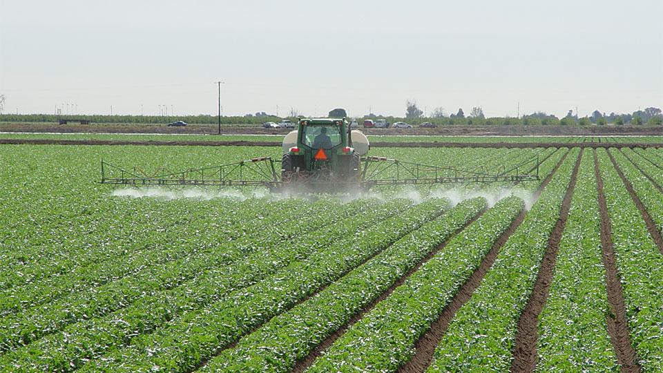 Mind Resistance Management for Better Insecticide Performance in ...