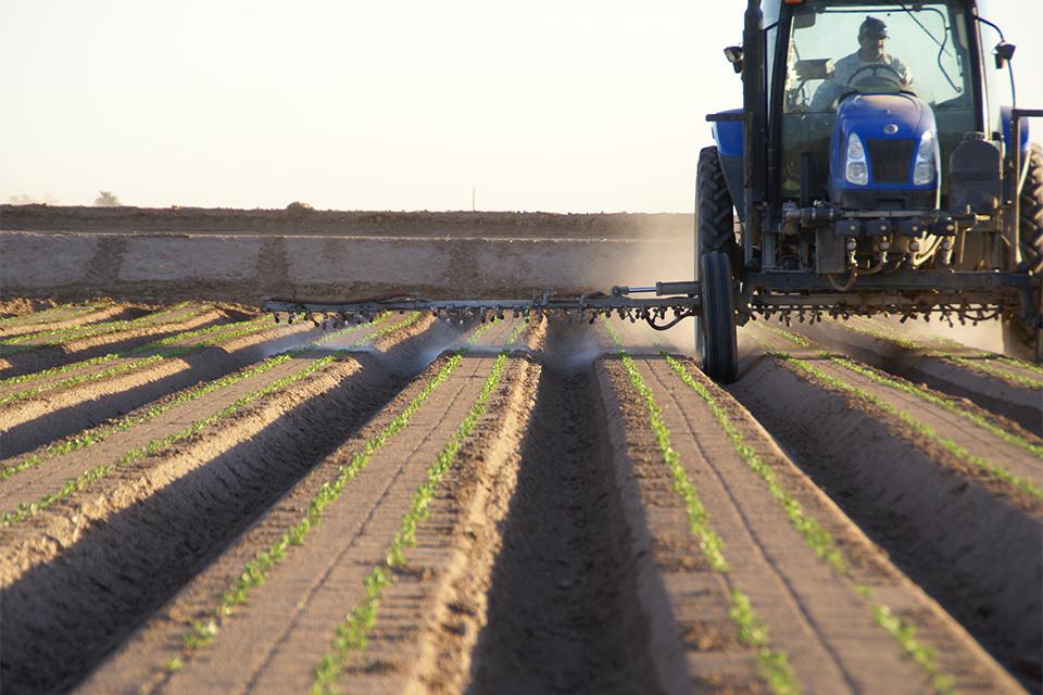 Mind Resistance Management for Better Insecticide Performance in ...