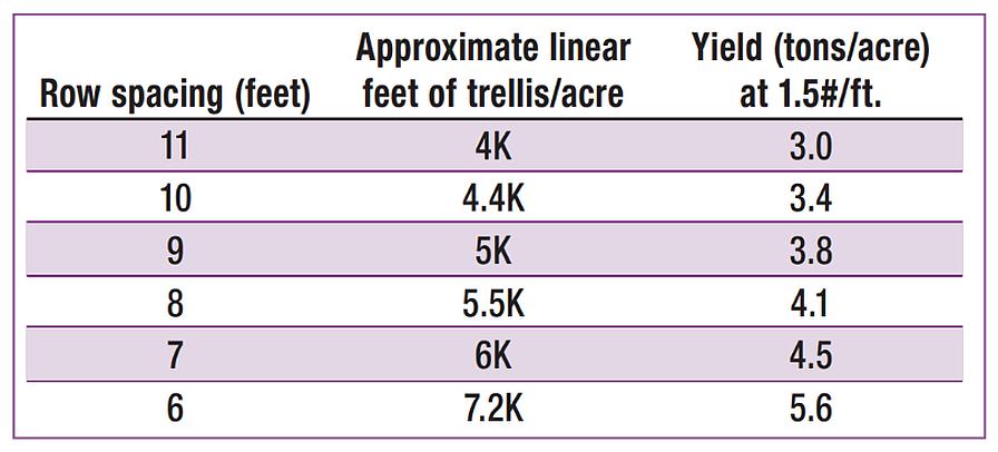 Which Yield Metric Is Best for Growing Grapes? - Growing Produce