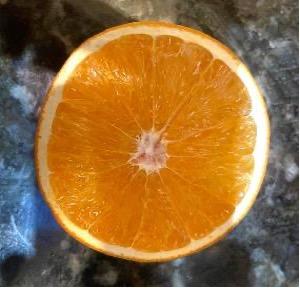 6 New Citrus Varieties To Keep Your Eye On - Growing Produce