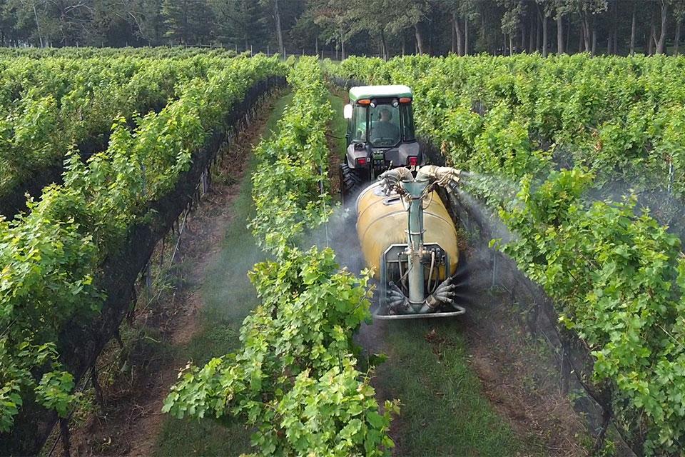 Challenges and Solutions for Efficient Vineyard Canopy Management ...