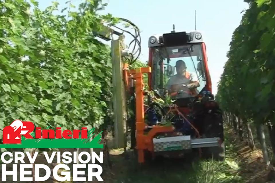 Challenges and Solutions for Efficient Vineyard Canopy Management ...