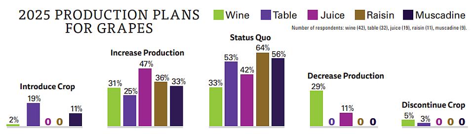 The Latest State of Grapes - a Many-Splendored Crop - Growing Produce