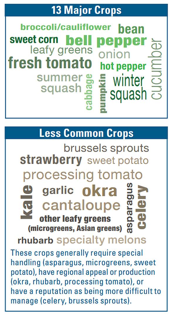 2025 State of the Vegetable Industry Survey: Top Production Trends ...