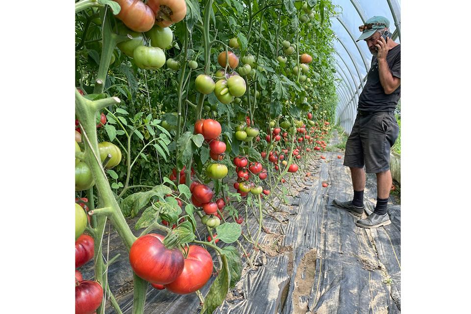 Favorite Tools, Tech, and Tactics at Red Fire Farm - Growing Produce