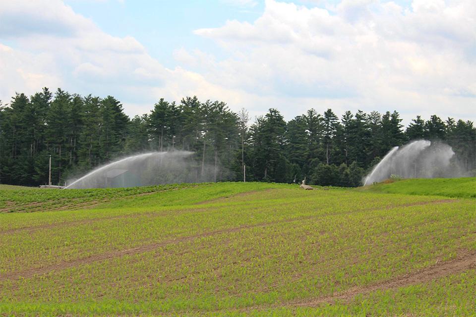 Success on the Farm With Irrigation Built for Uncertainty - Growing Produce